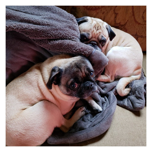 Photo Square Add-On | My T-Shirt Blanket - MyT-ShirtBlanket